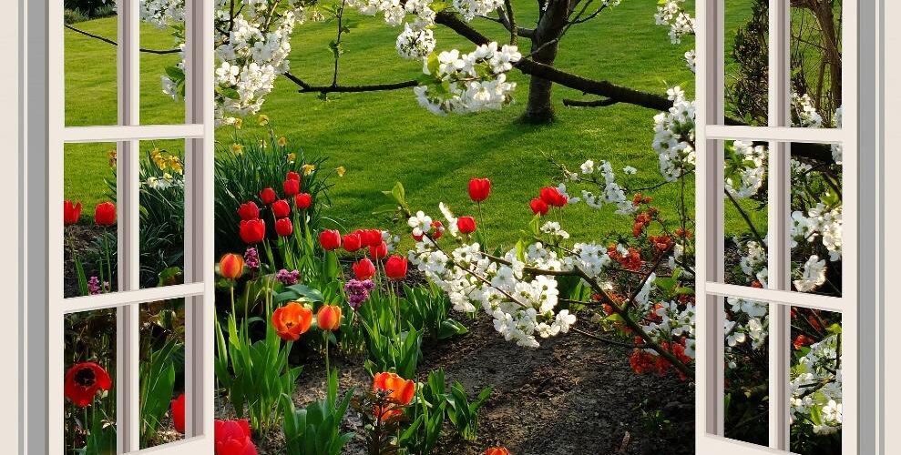 The Garden in April, What to do in April, April Gardening